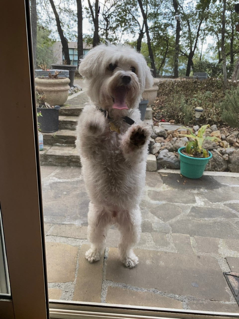 El cuidado de la interioridad - Colegiata Cielo en la Tierra