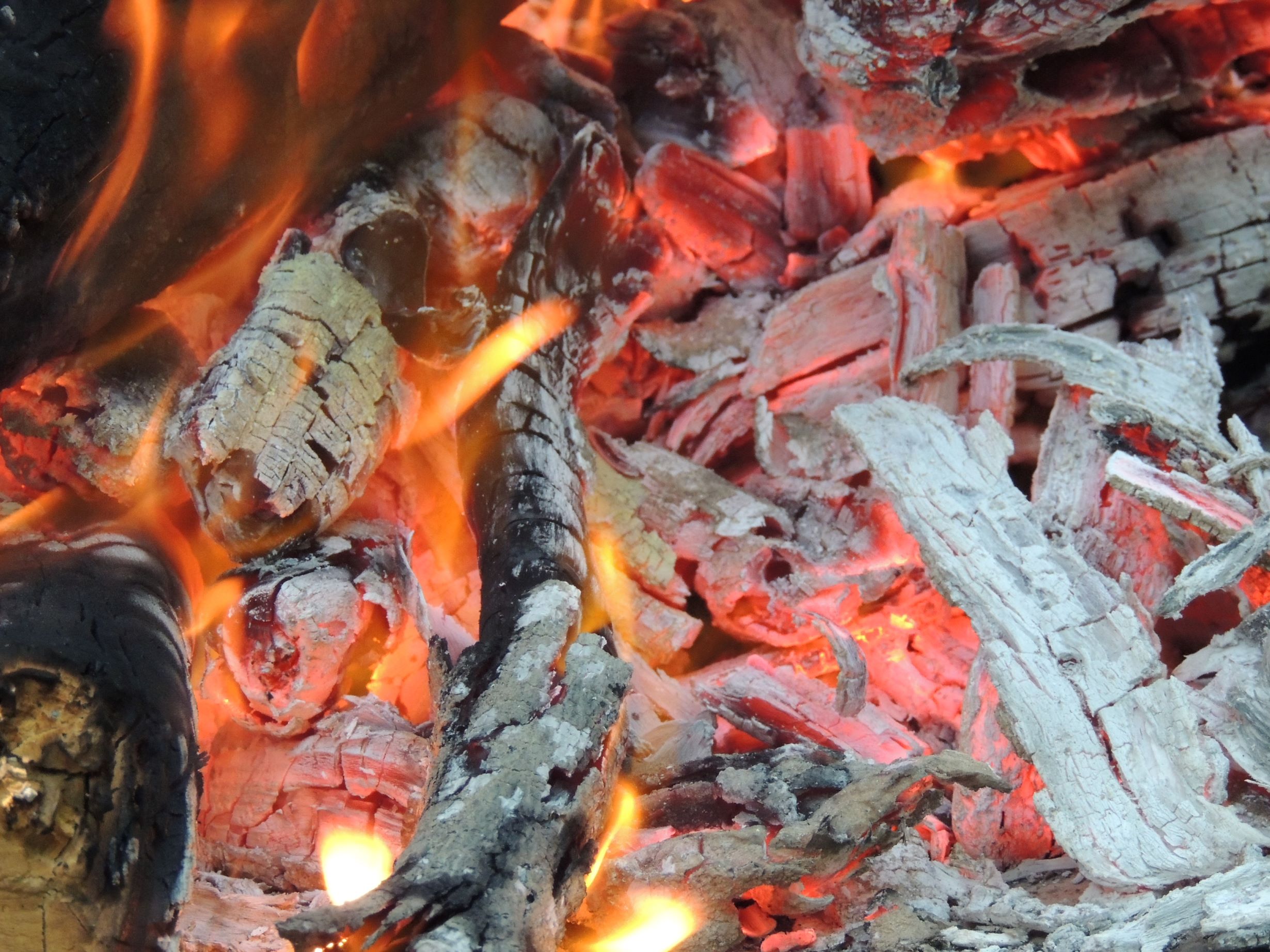 Cenizas - Colegiata Cielo en la Tierra